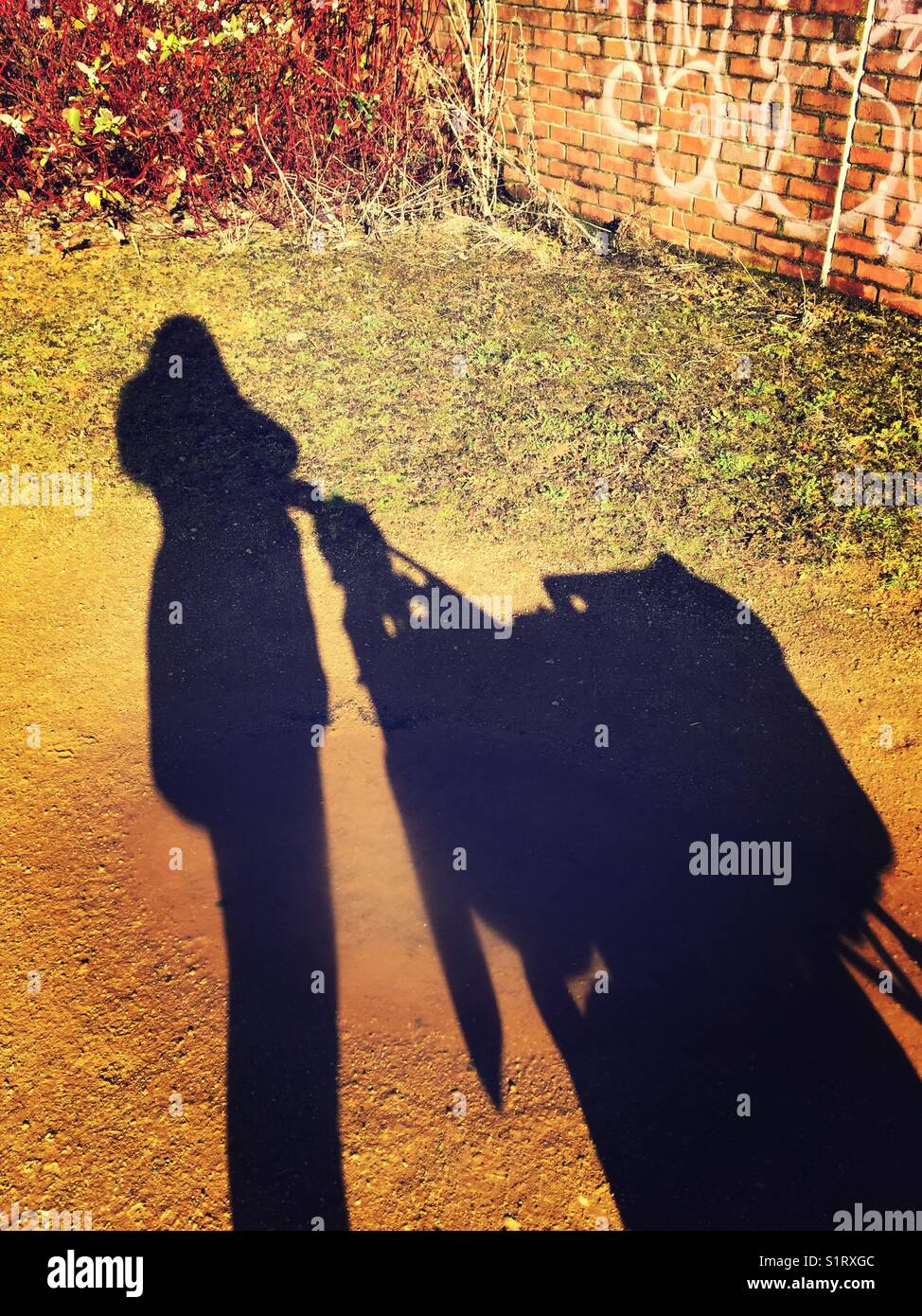 Lady pushing pram hi-res stock photography and images - Alamy