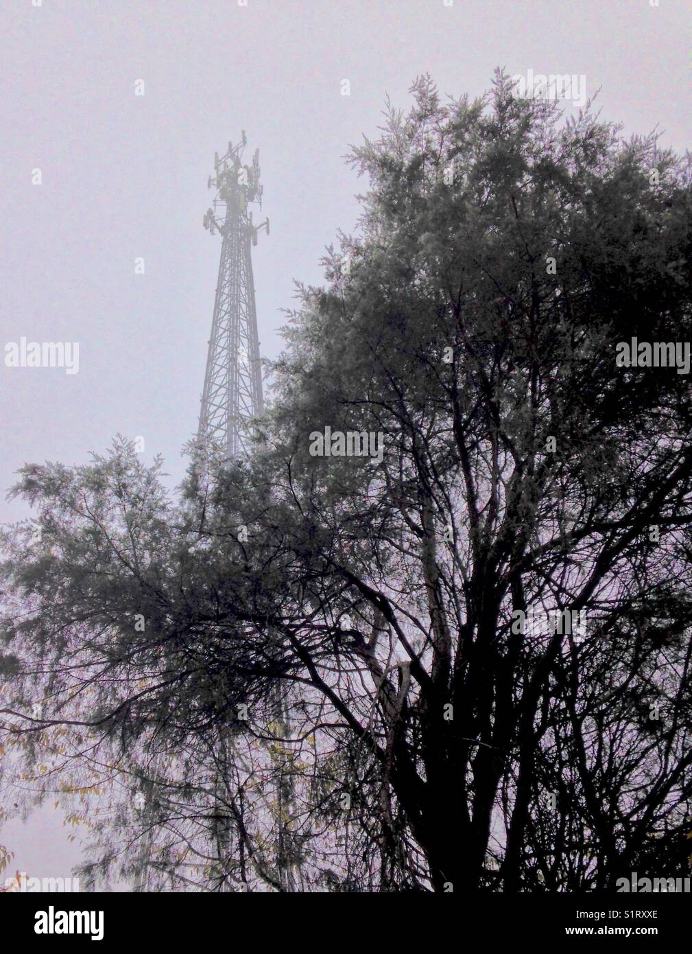 Black and white cell tower hi-res stock photography and images - Alamy