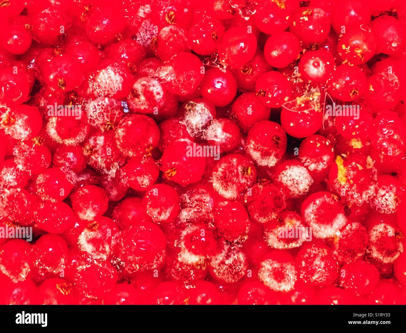 Frozen red currents hi-res stock photography and images - Alamy