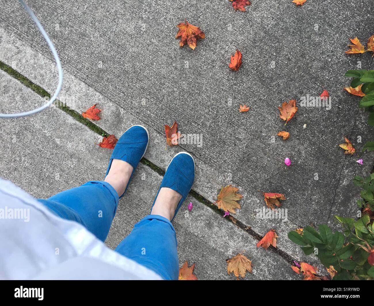 Everything blue hi-res stock photography and images - Alamy