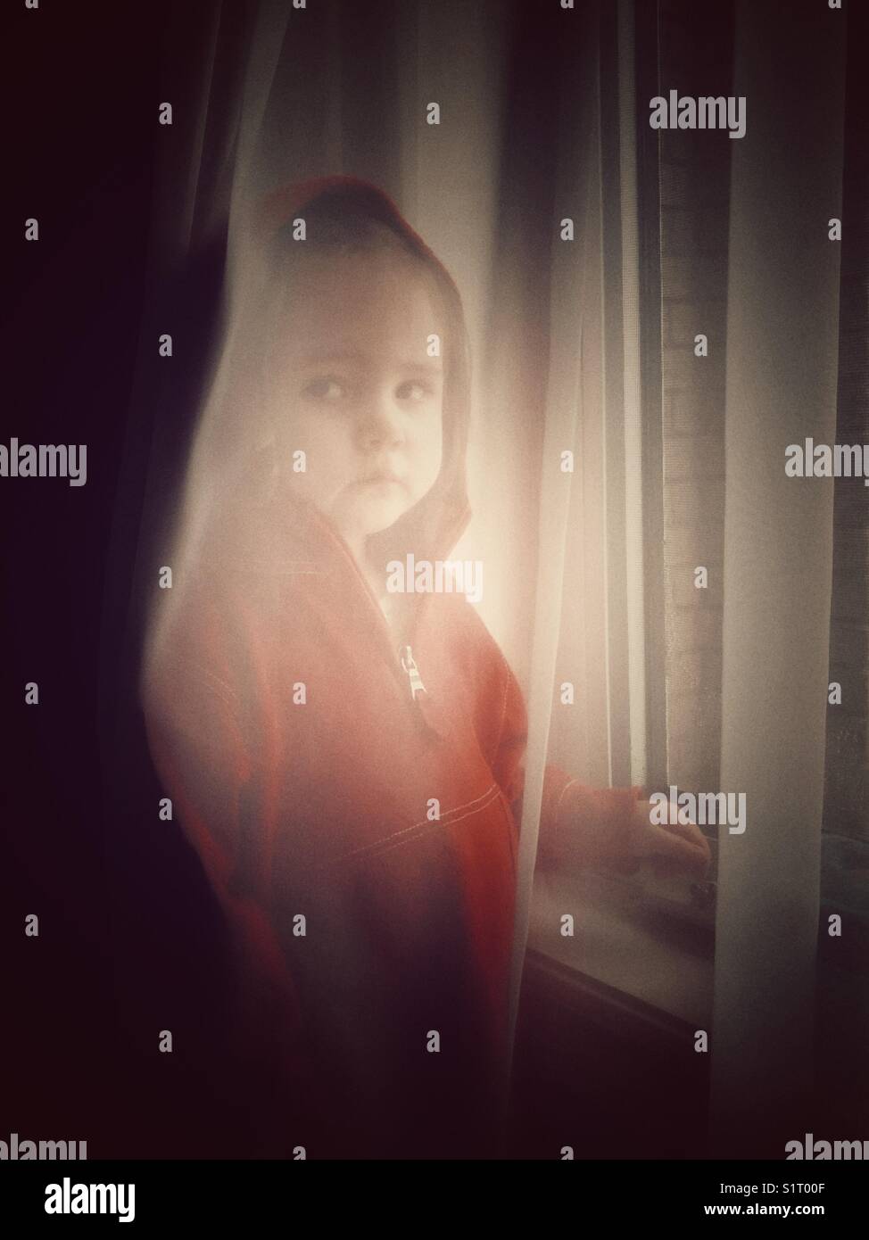 Young child hiding behind a sheer curtain with fearful look on face ...