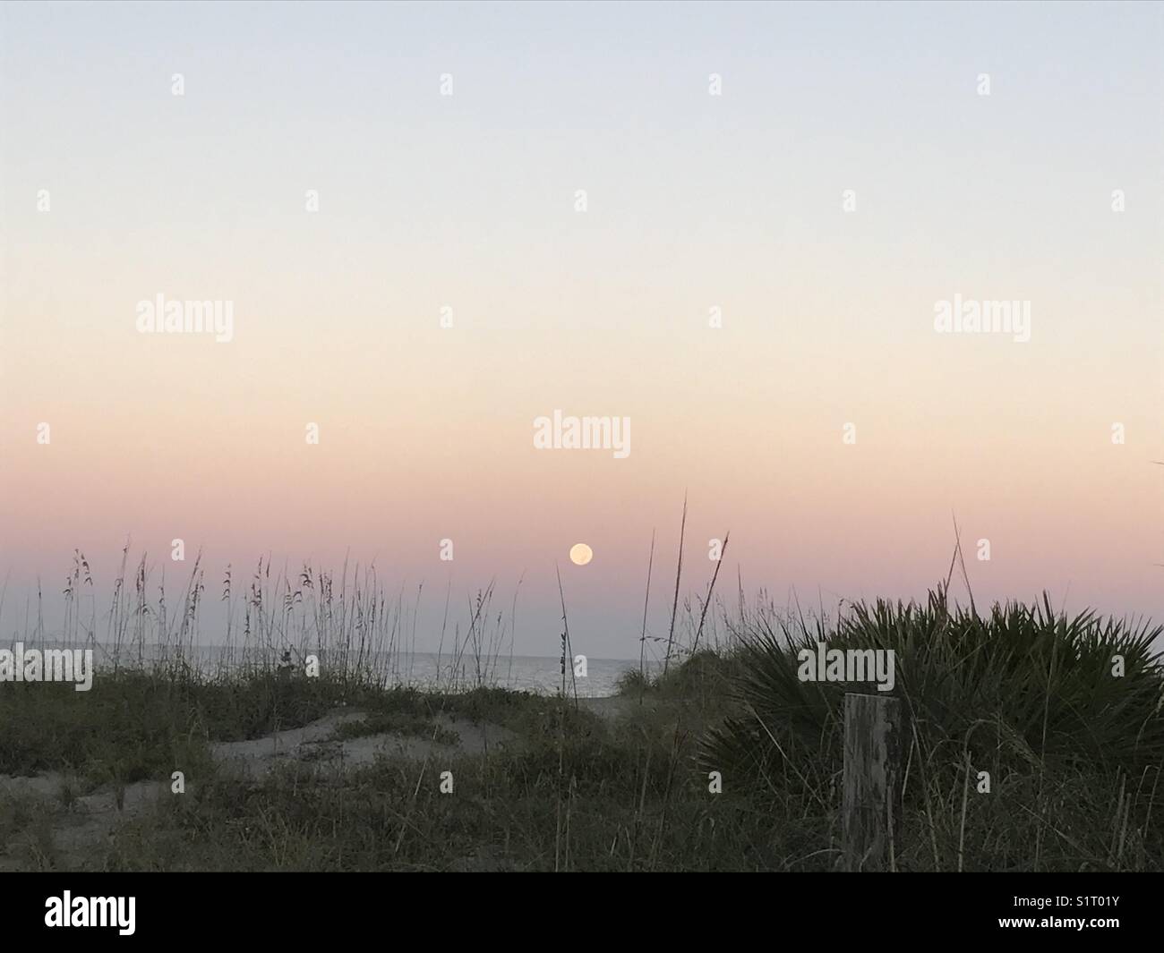 The soft moon hi-res stock photography and images - Alamy