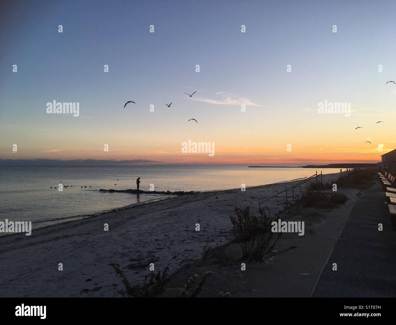 Bass river beach hi-res stock photography and images - Alamy