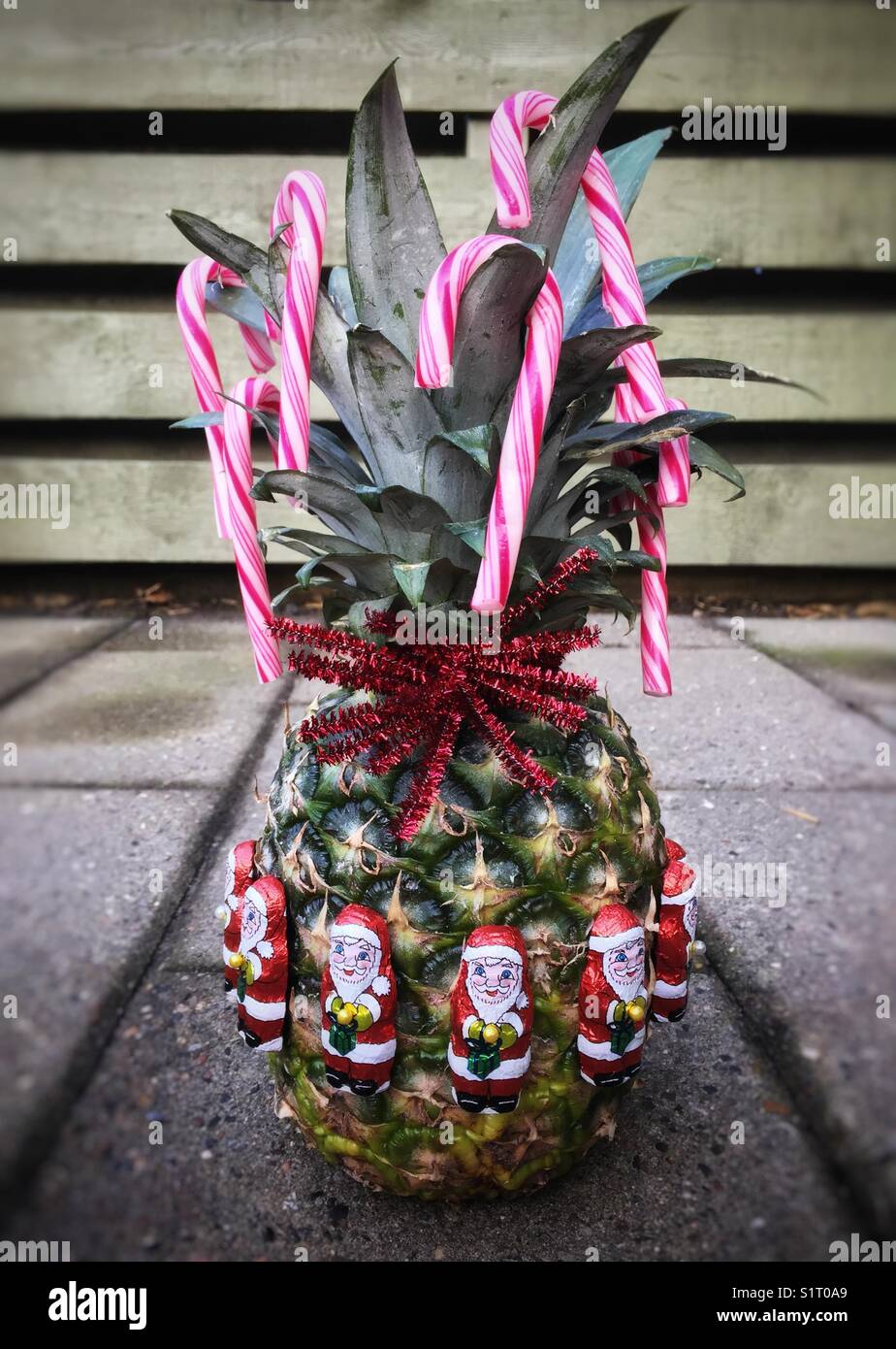 Pineapple Christmas tree Stock Photo - Alamy