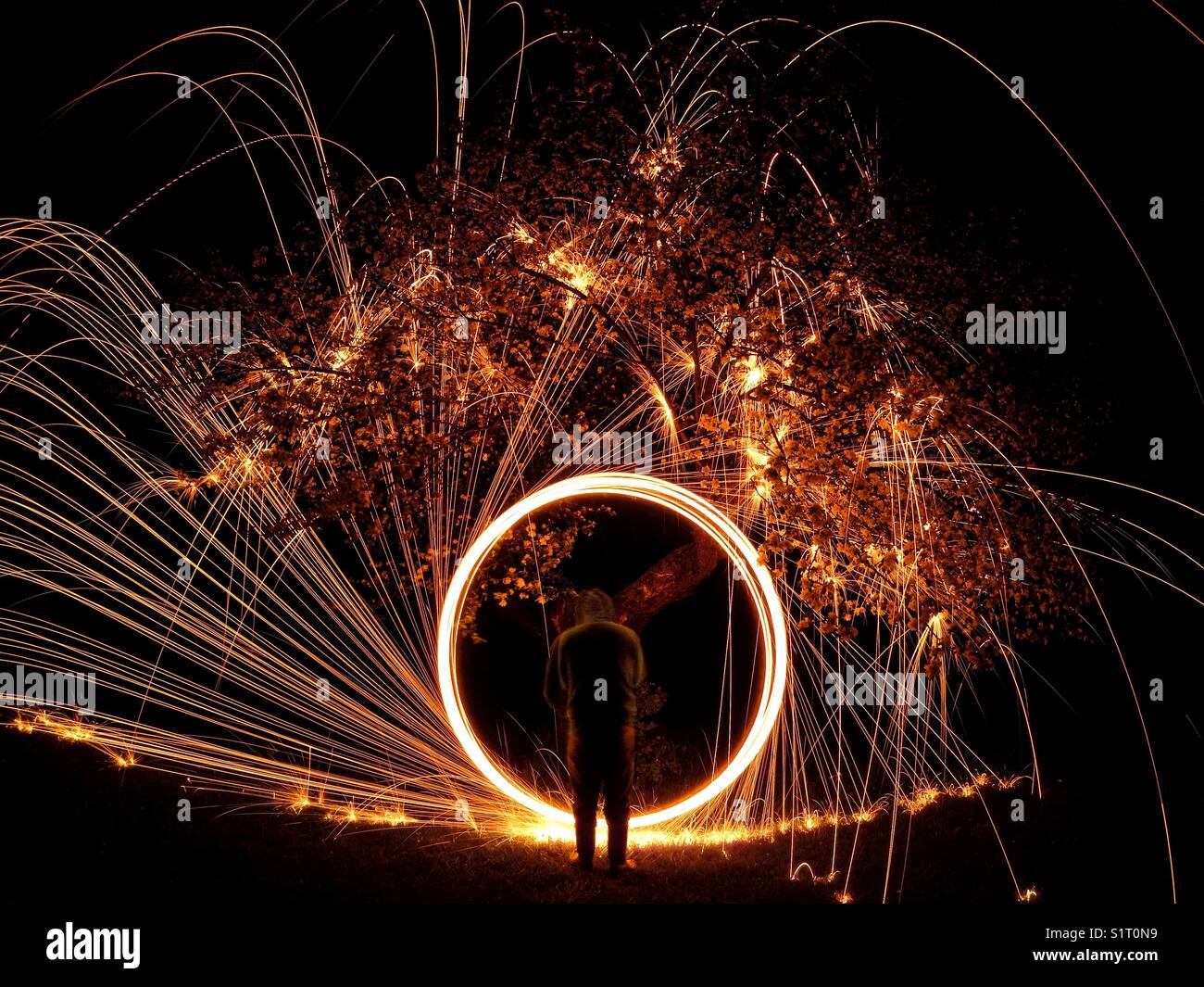 Spinning tree hi-res stock photography and images - Alamy