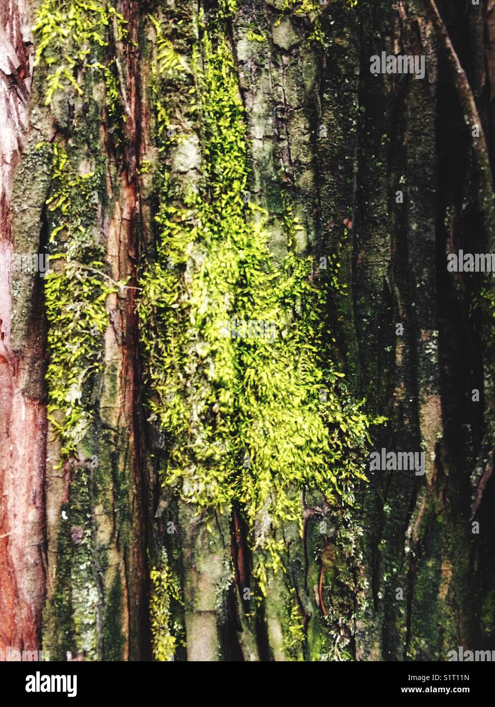 Gradation High Resolution Stock Photography and Images - Alamy