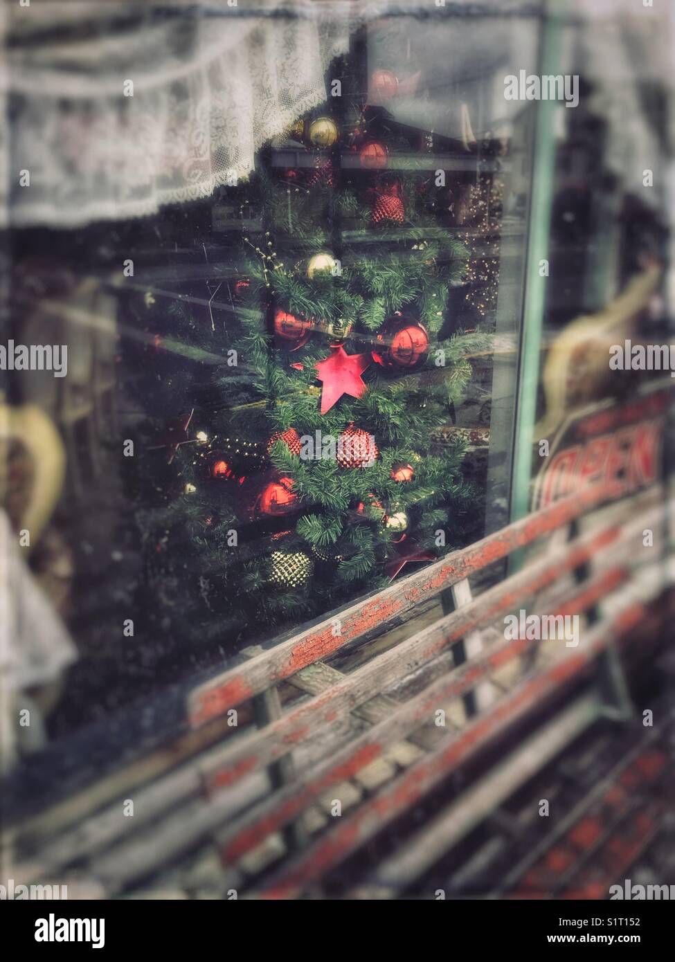 Christmas tree in thrift store window Stock Photo - Alamy