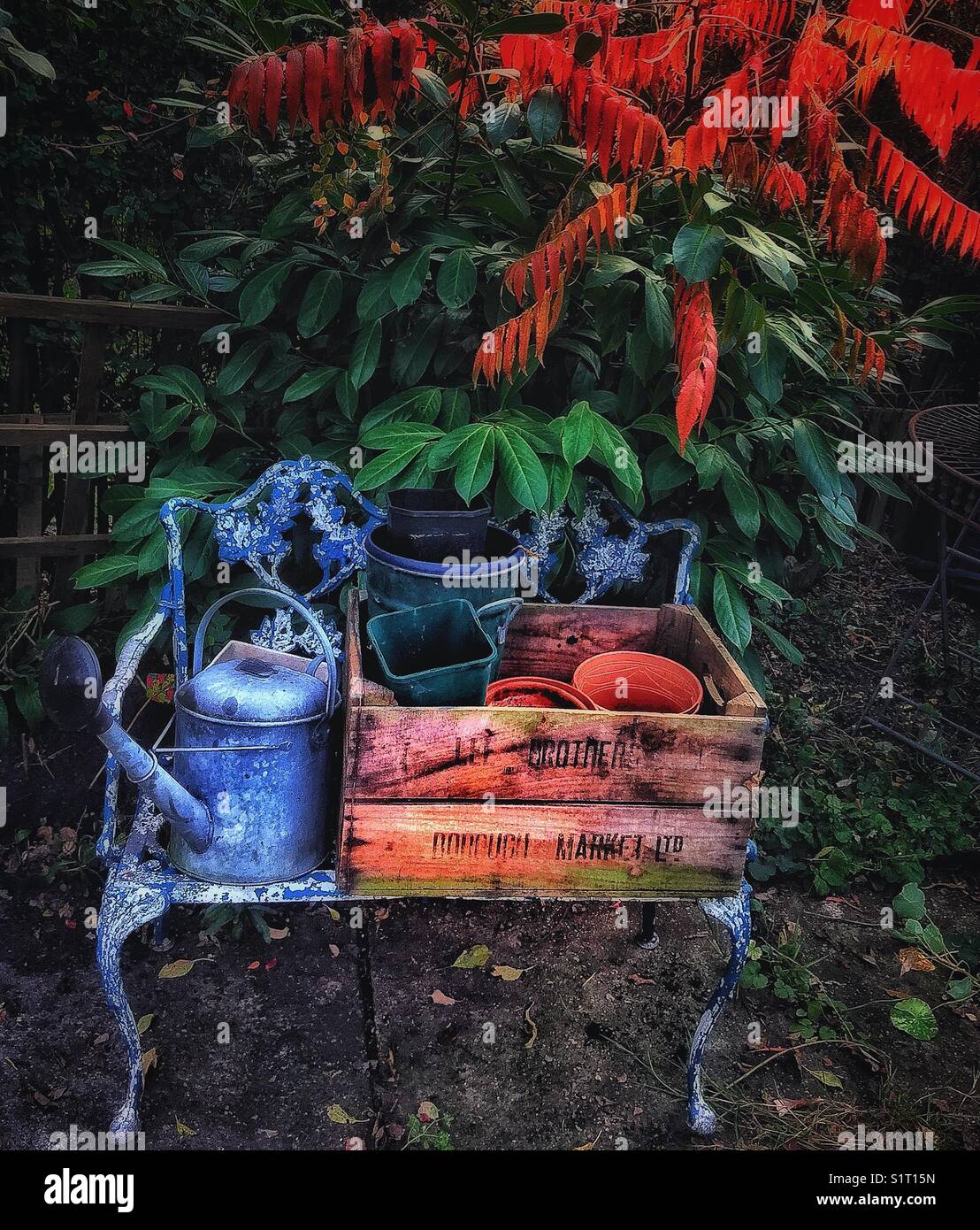 An old garden bench laden with watering can plant pits and wooden crate ...