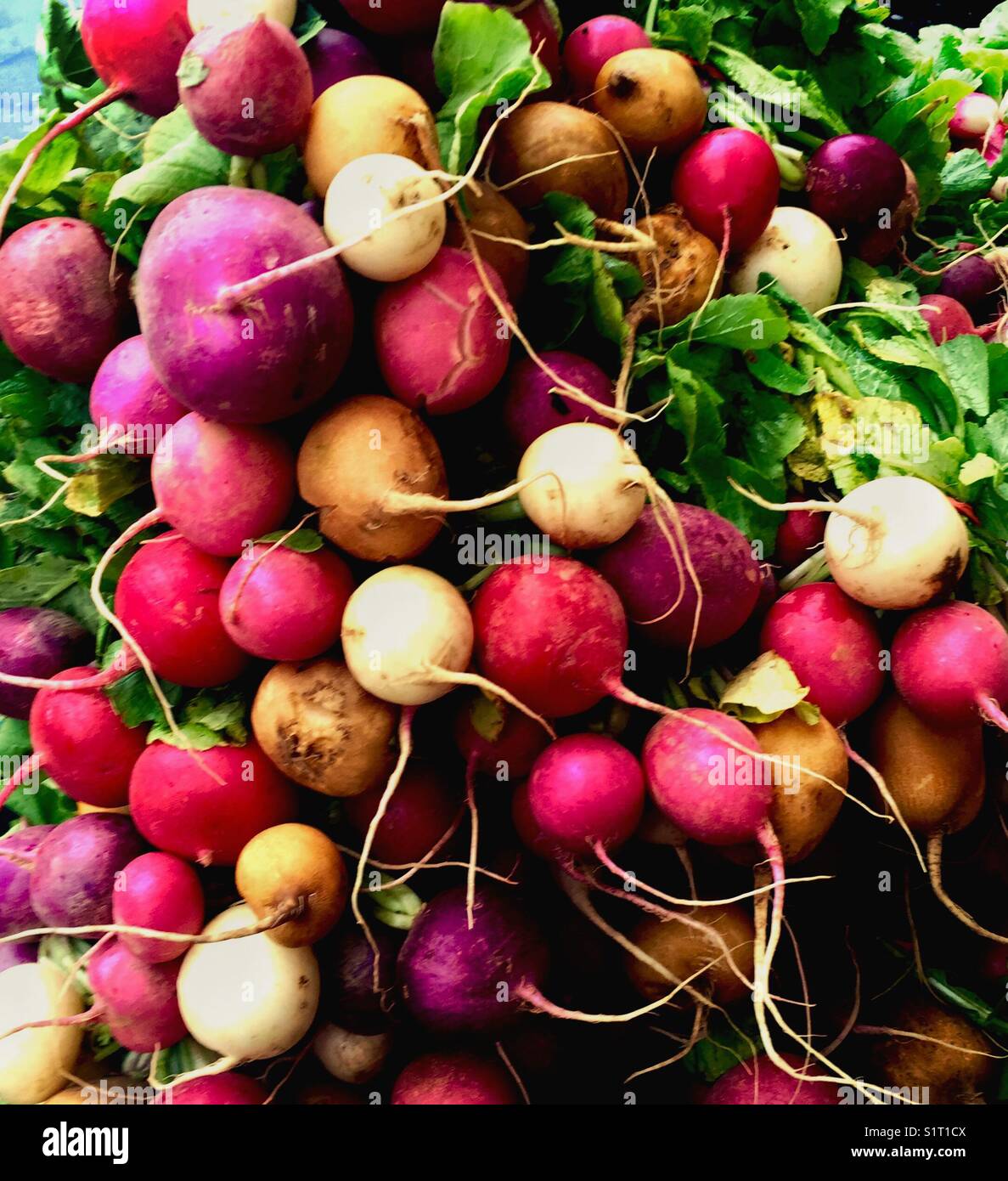 Color mixed hi-res stock photography and images - Alamy