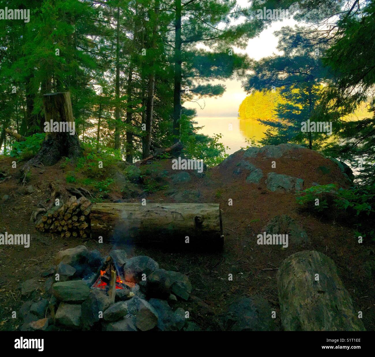 Morning Forest Campfire By Fog Covered Lake Stock Photo - Alamy