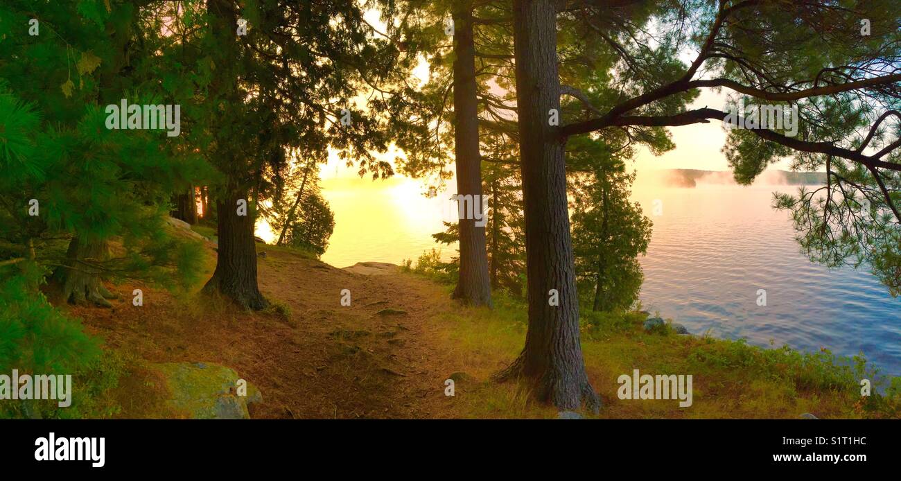 Pine Needle Forest Path By Sunny Fog Lake Panorama Stock Photo - Alamy