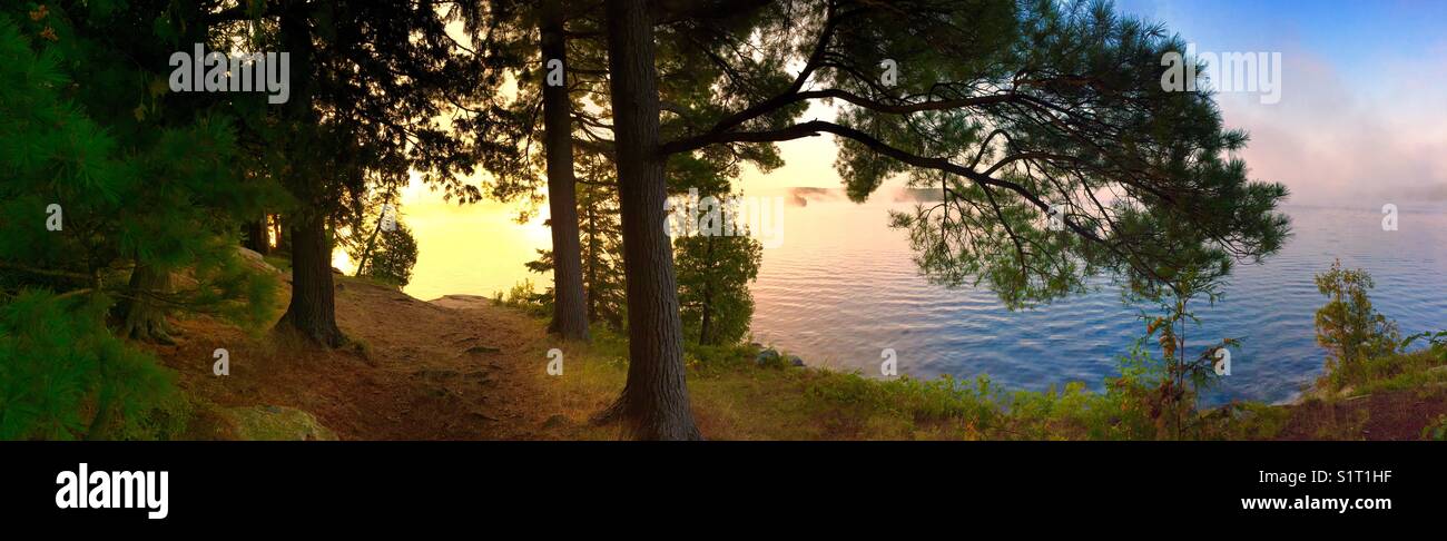 Needle path hi-res stock photography and images - Alamy