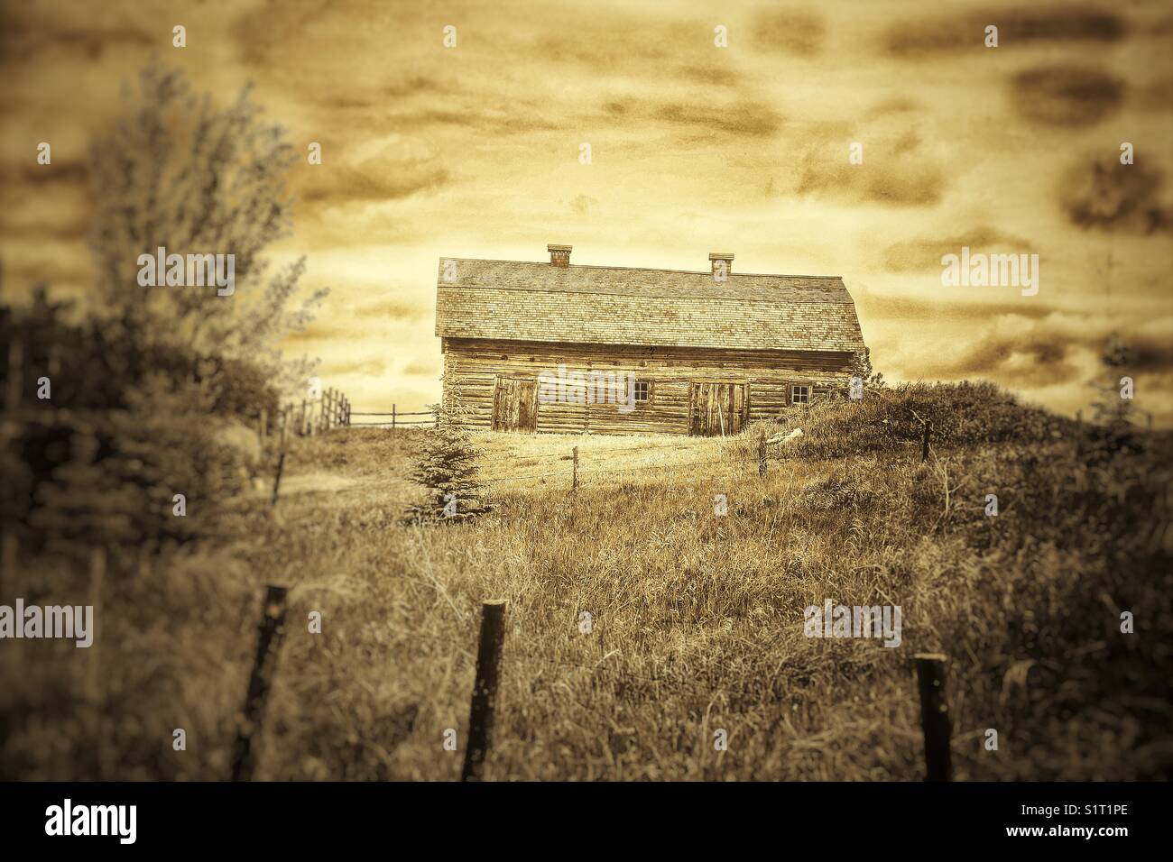 Farm house, Alberta, Canada Stock Photo - Alamy
