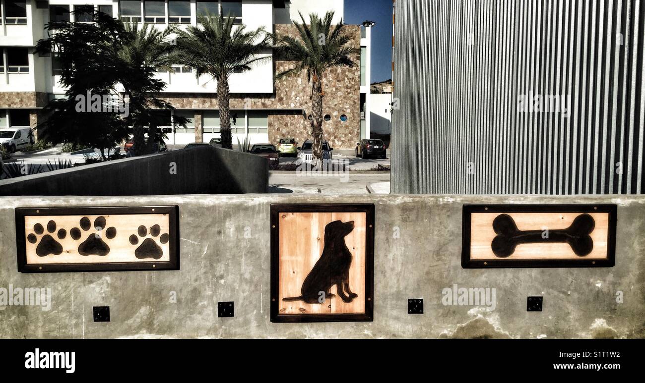 Dog friendly building Stock Photo - Alamy