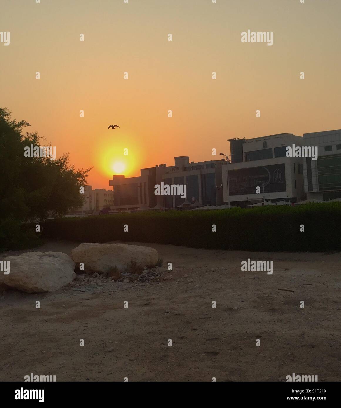 Qatar Sunset Stock Photos & Qatar Sunset Stock Images - Alamy