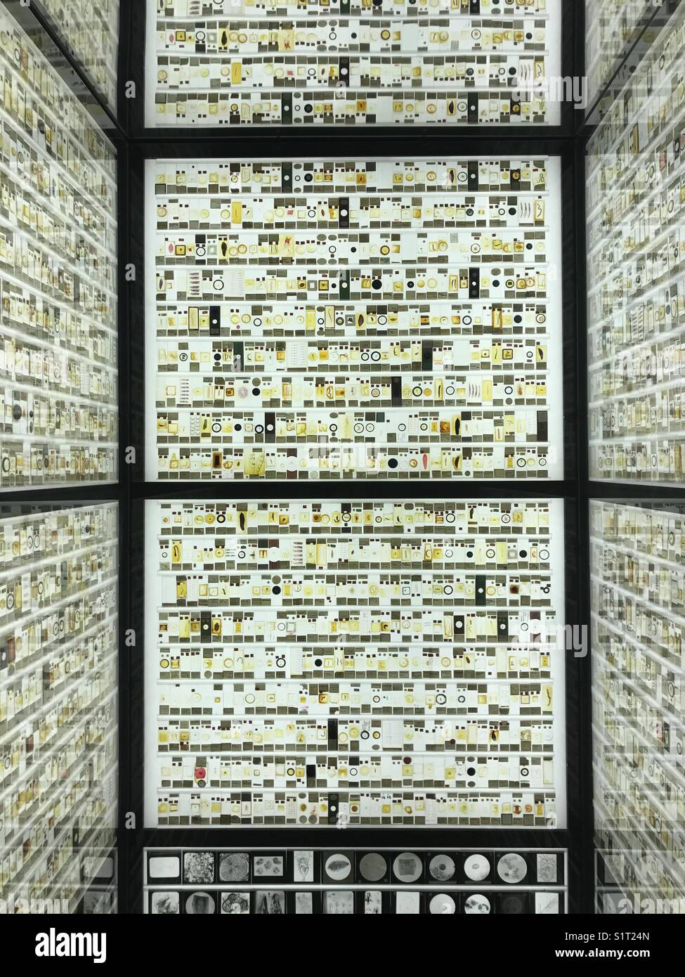 Microscope slides hi-res stock photography and images - Alamy