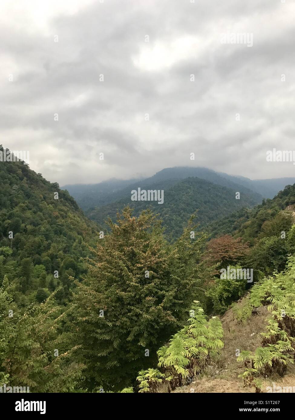 Rasht iran hi-res stock photography and images - Alamy