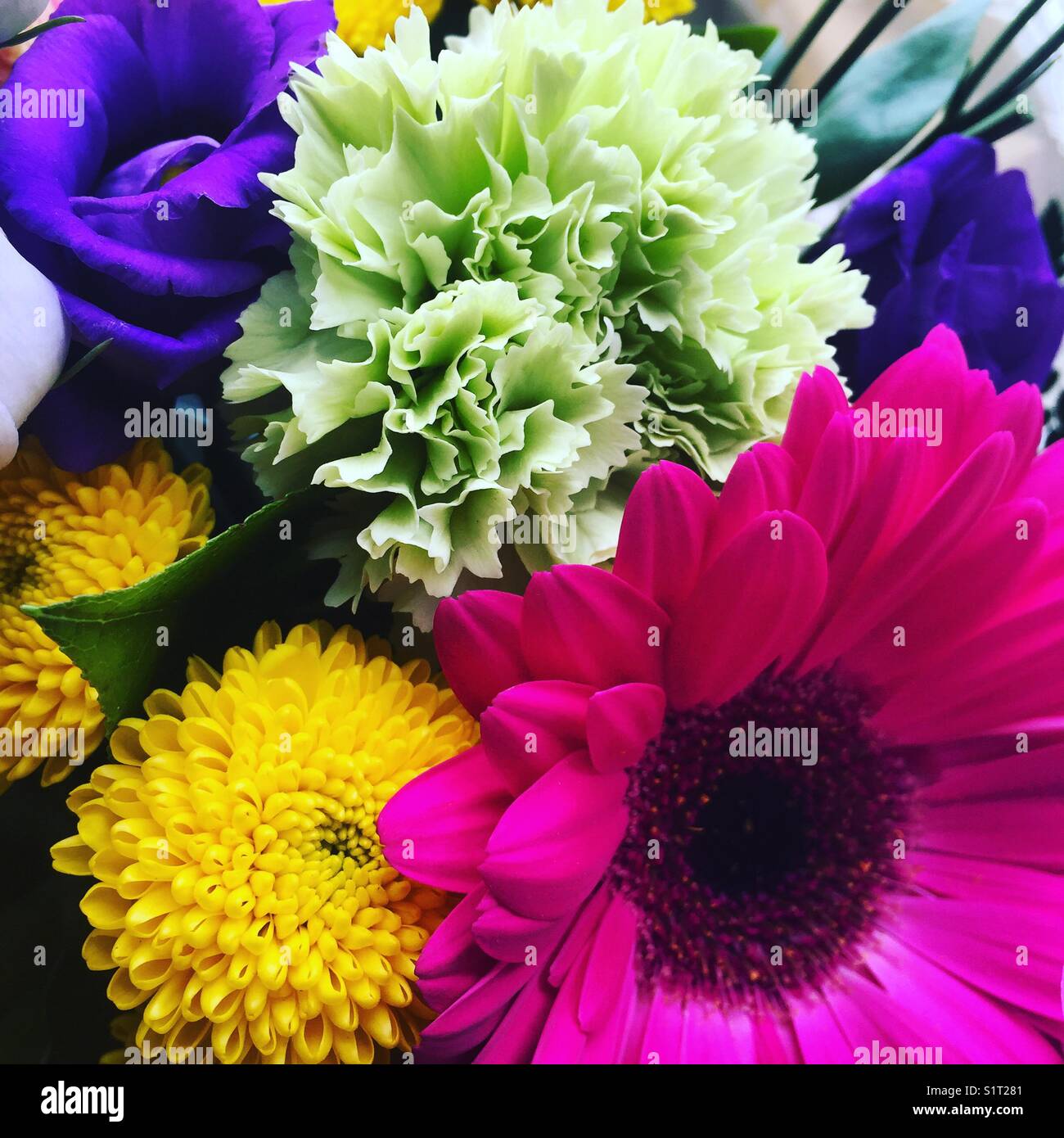 Bouquet of colourful flowers Stock Photo - Alamy