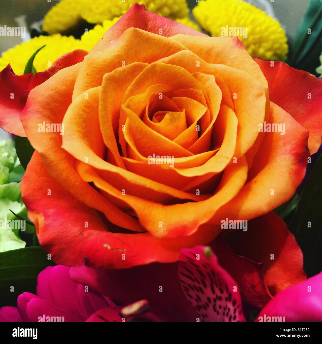 Orange rose bouquet hi-res stock photography and images - Alamy