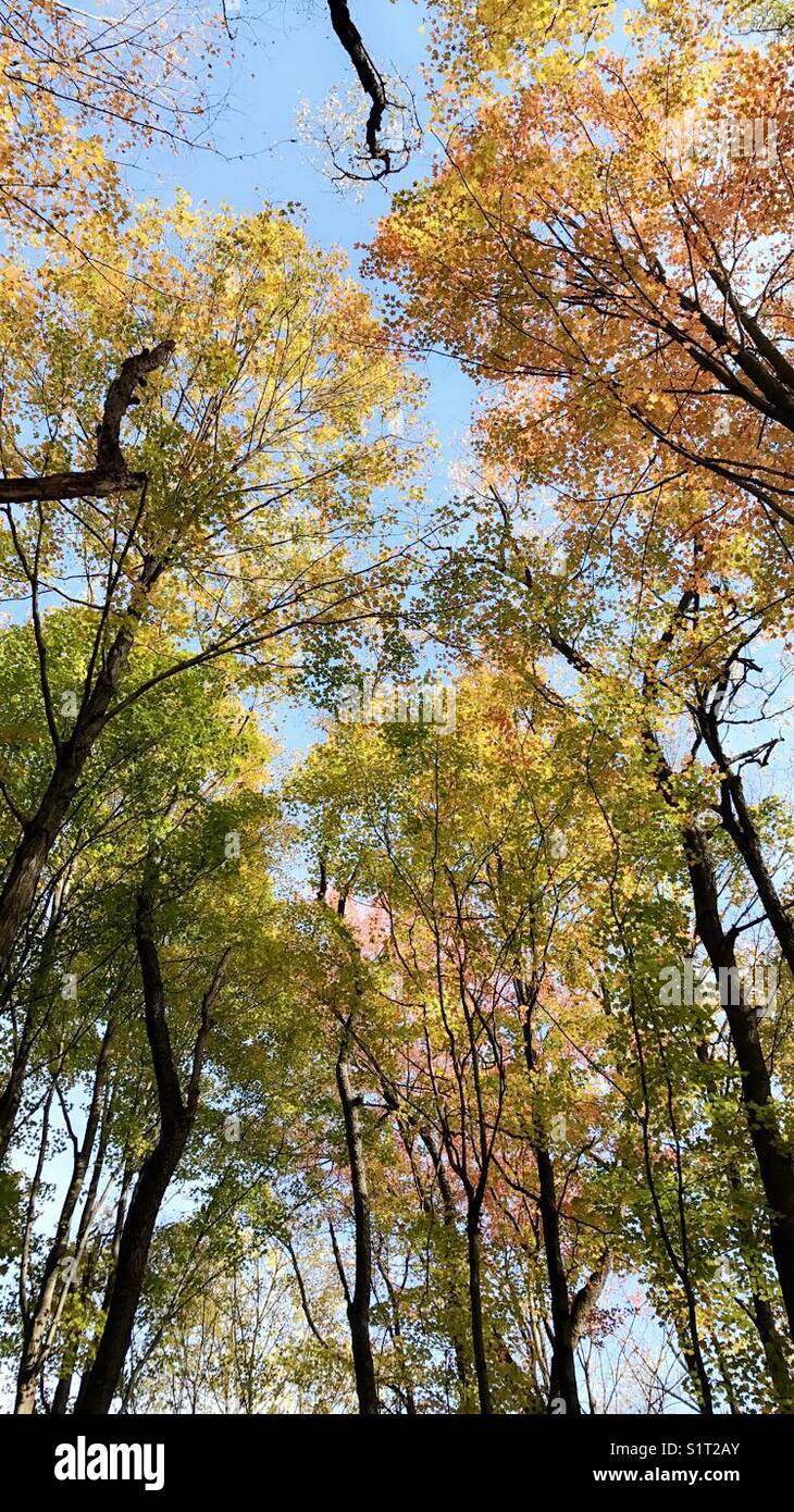 Dont leave it behind hi-res stock photography and images - Alamy