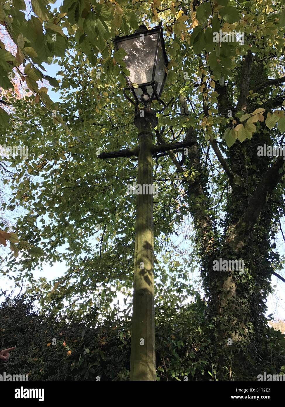 Lamppost in trees Stock Photo - Alamy