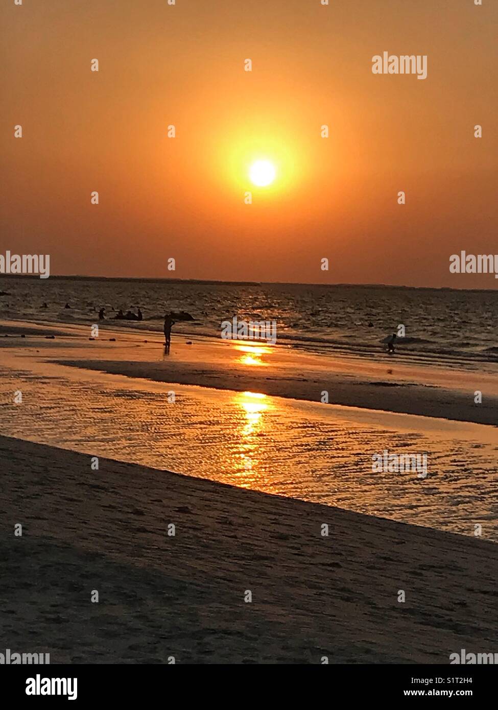 Color of nature Stock Photo - Alamy