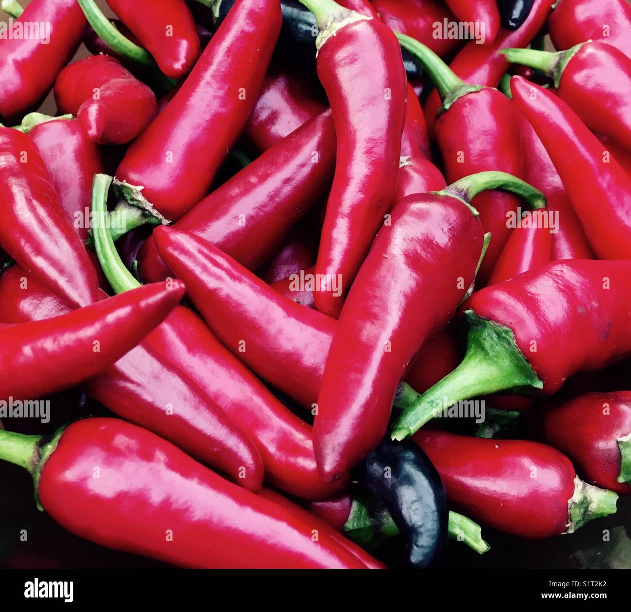 Collection of hot, bright red chillies in close up Stock Photo - Alamy