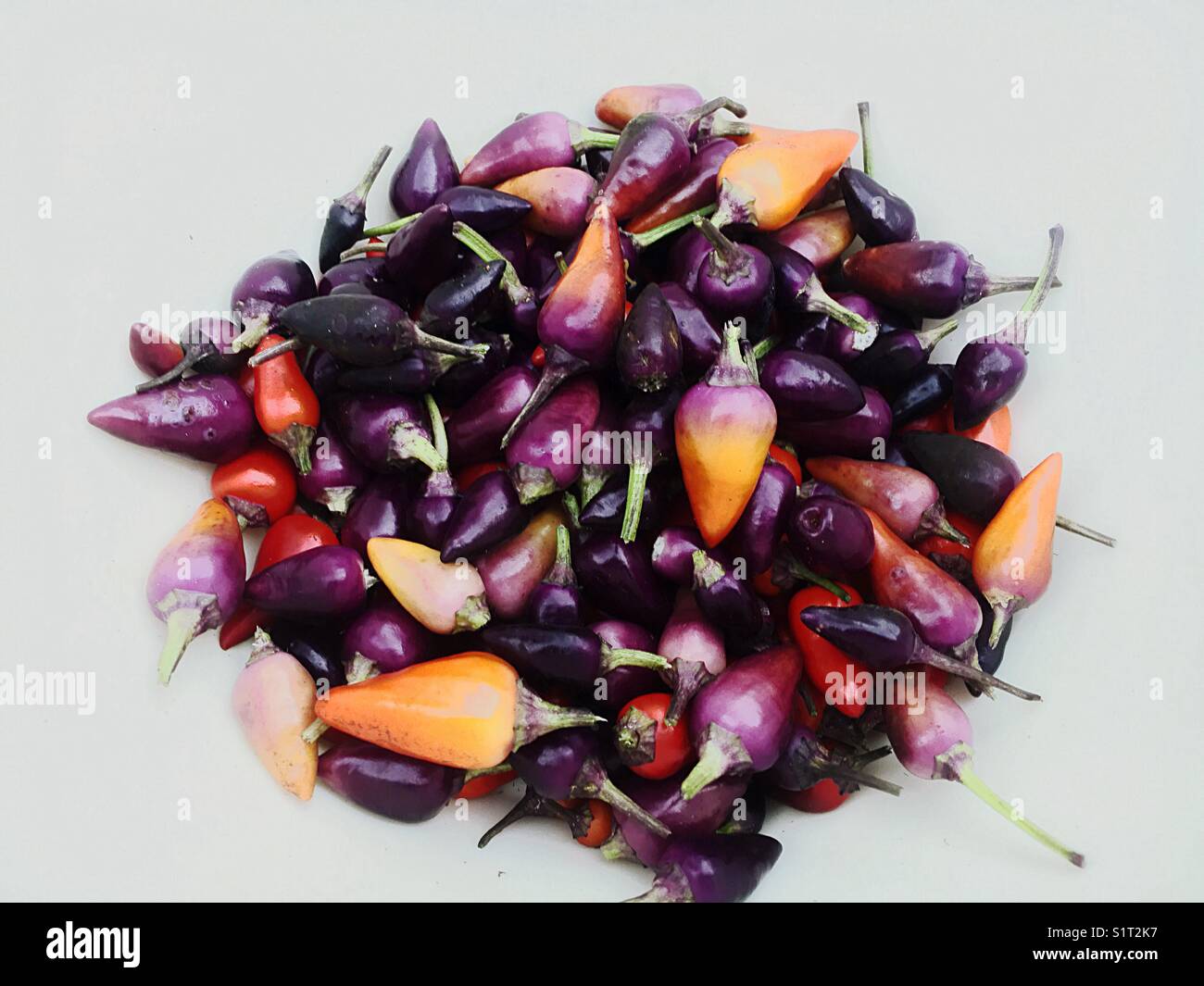 Purple Chilli High Resolution Stock Photography and Images - Alamy