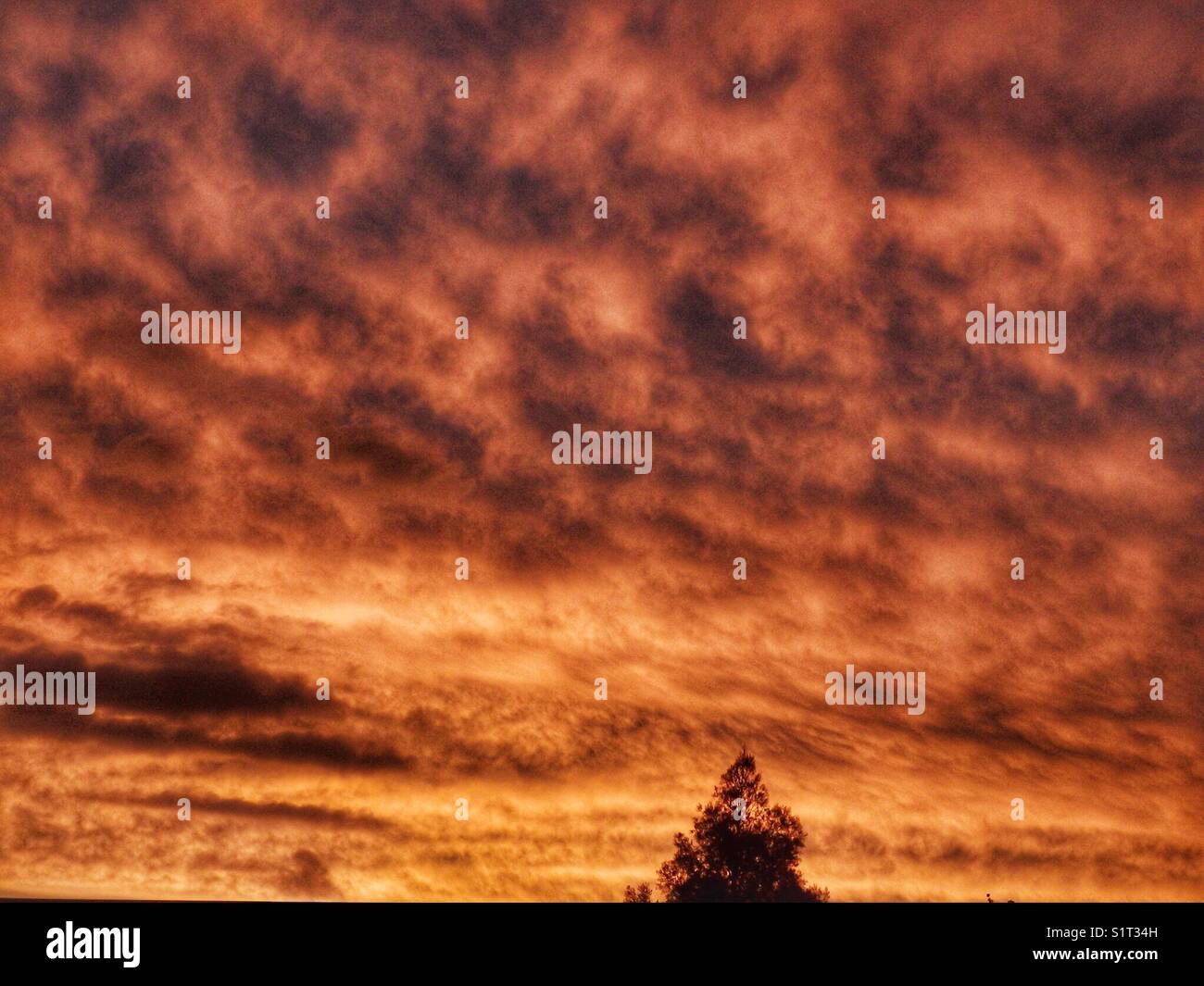 Orange glow hi-res stock photography and images - Alamy