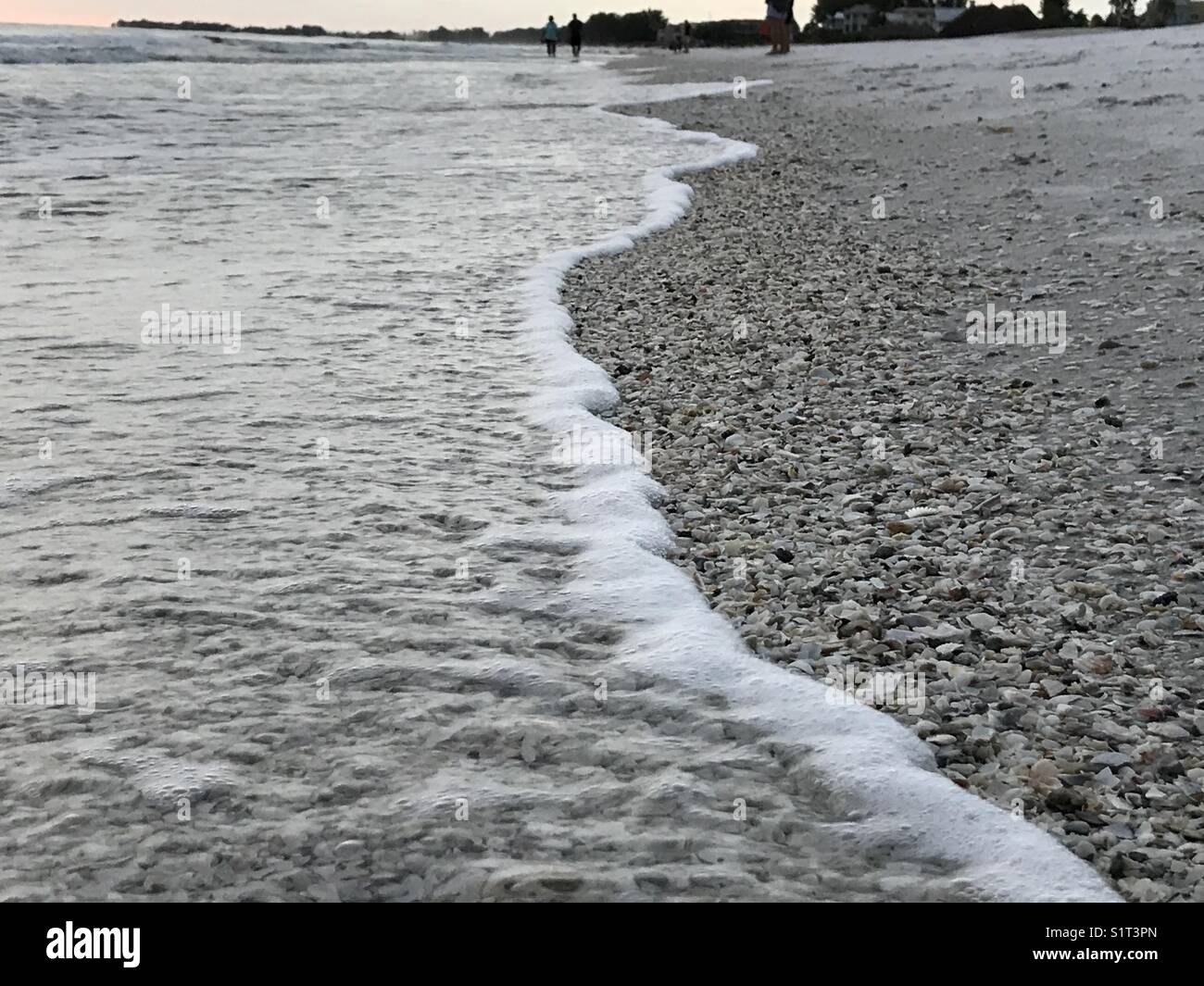 Sea foam rolling onto seashells Stock Photo - Alamy