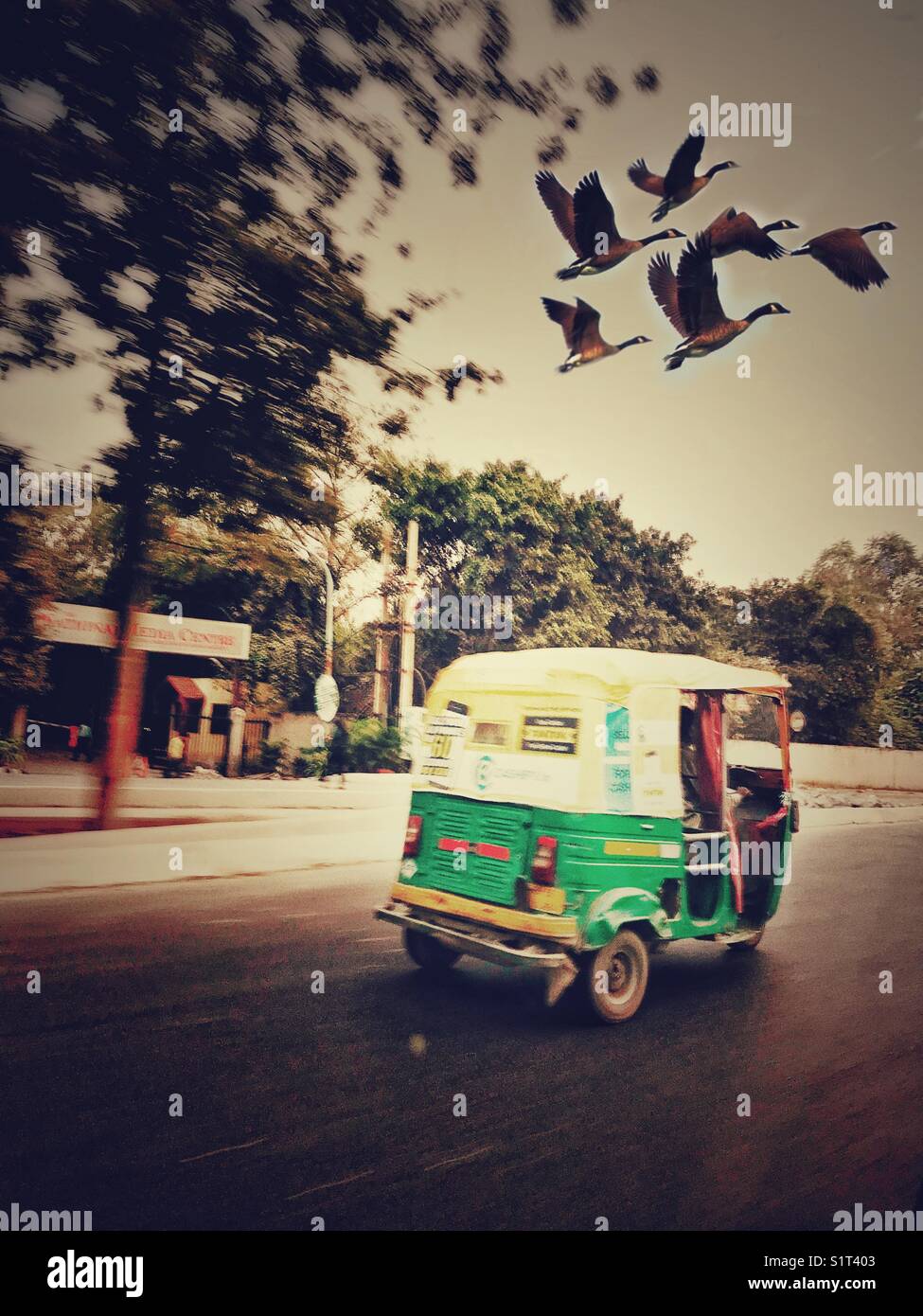 Evening time to go home for Humans, Animals and Birds!! Stock Photo - Alamy