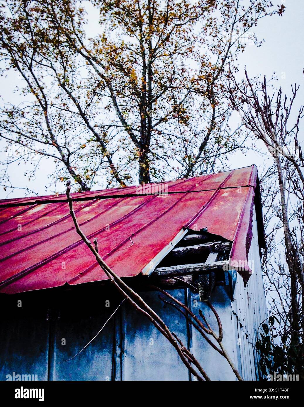 Red tin roof hi-res stock photography and images - Alamy
