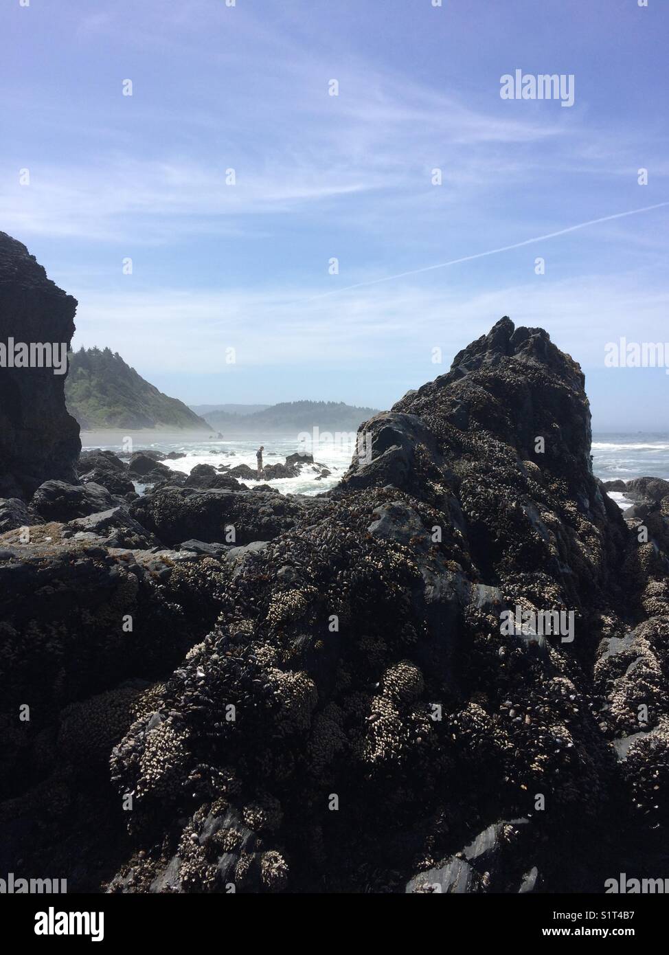 Orick Beach, California was my first time touching the Pacific Ocean a ...