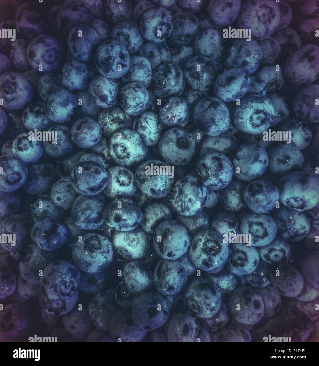 Lots ripe juicy blueberries hi-res stock photography and images - Alamy