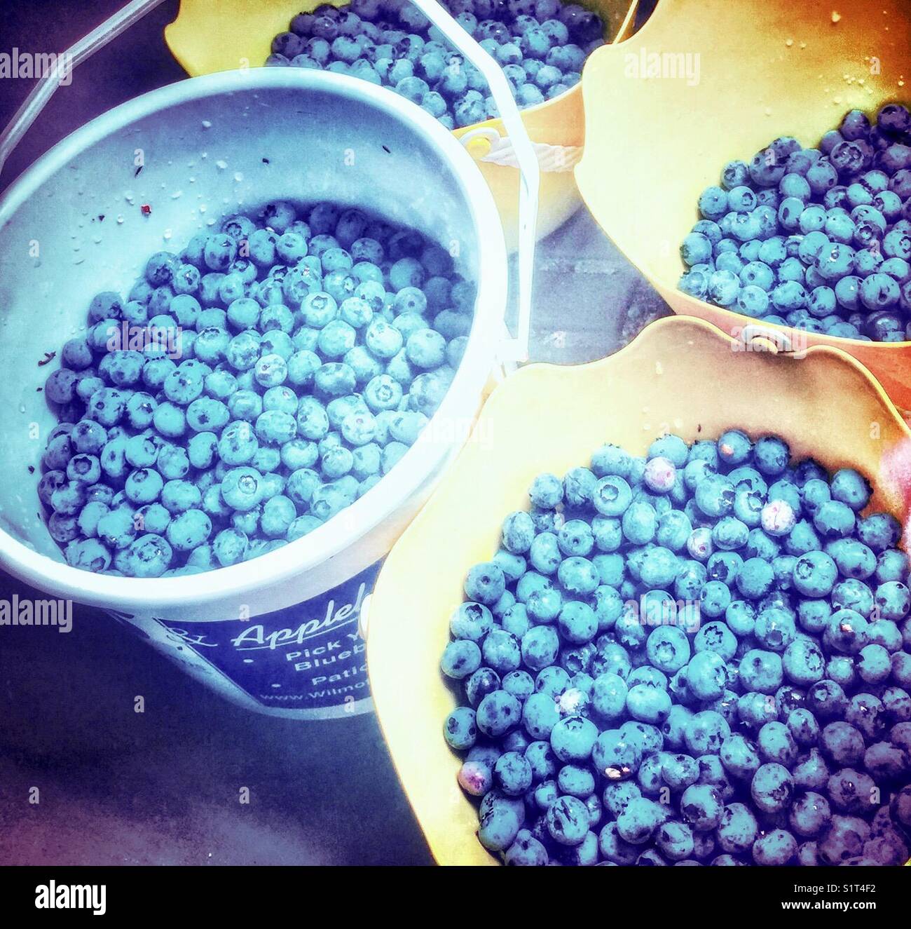 Four buckets hi-res stock photography and images - Alamy