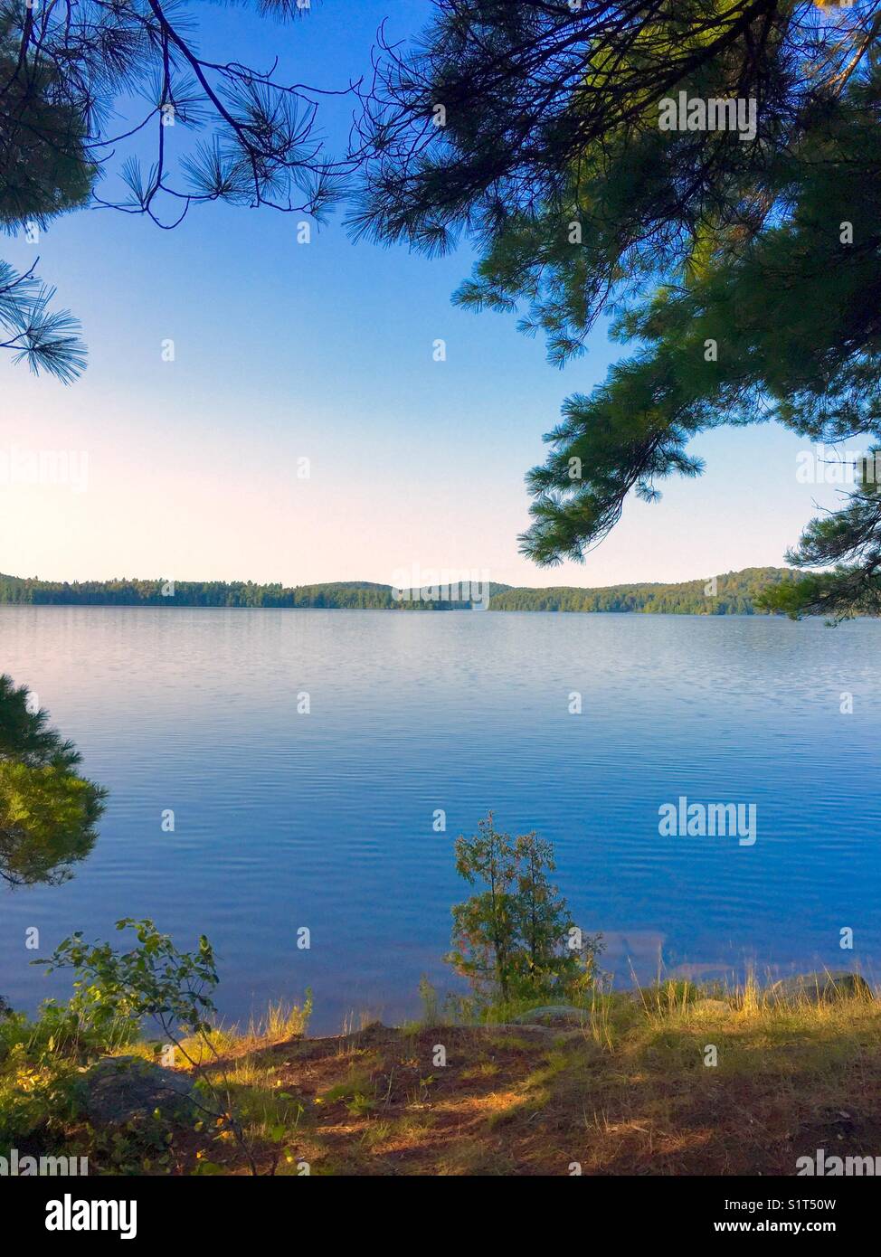 Shoreline from window hi-res stock photography and images - Alamy