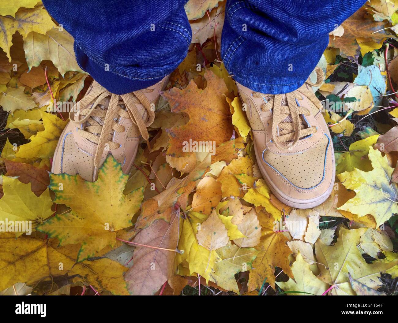 Shoes fall hi-res stock photography and images - Alamy