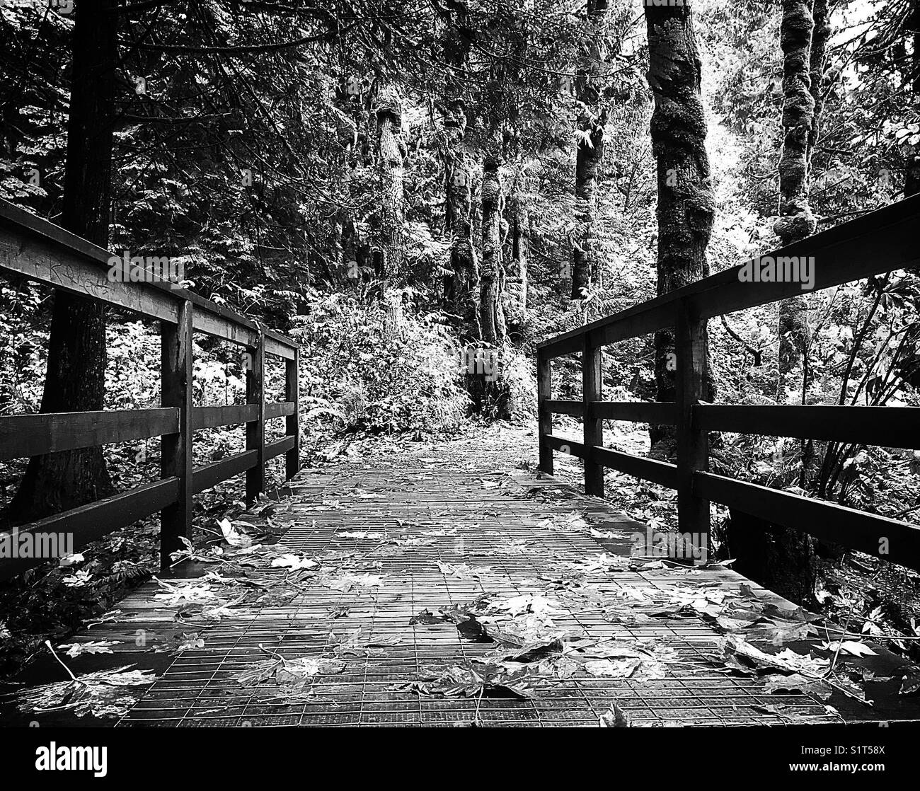 Walkway and bridge Black and White Stock Photos & Images - Alamy