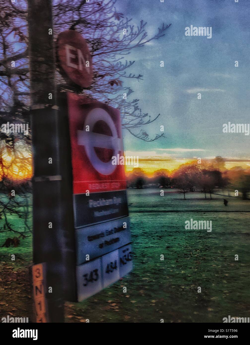 Bus stop on Peckham Rye Stock Photo - Alamy