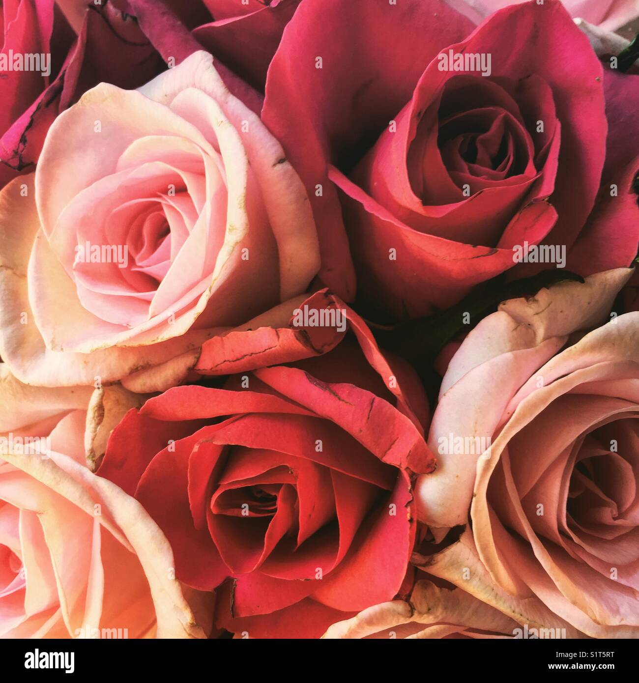 Imperfection hi-res stock photography and images - Alamy