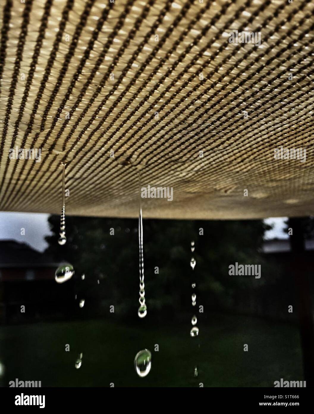 Raindrops falling hi-res stock photography and images - Alamy