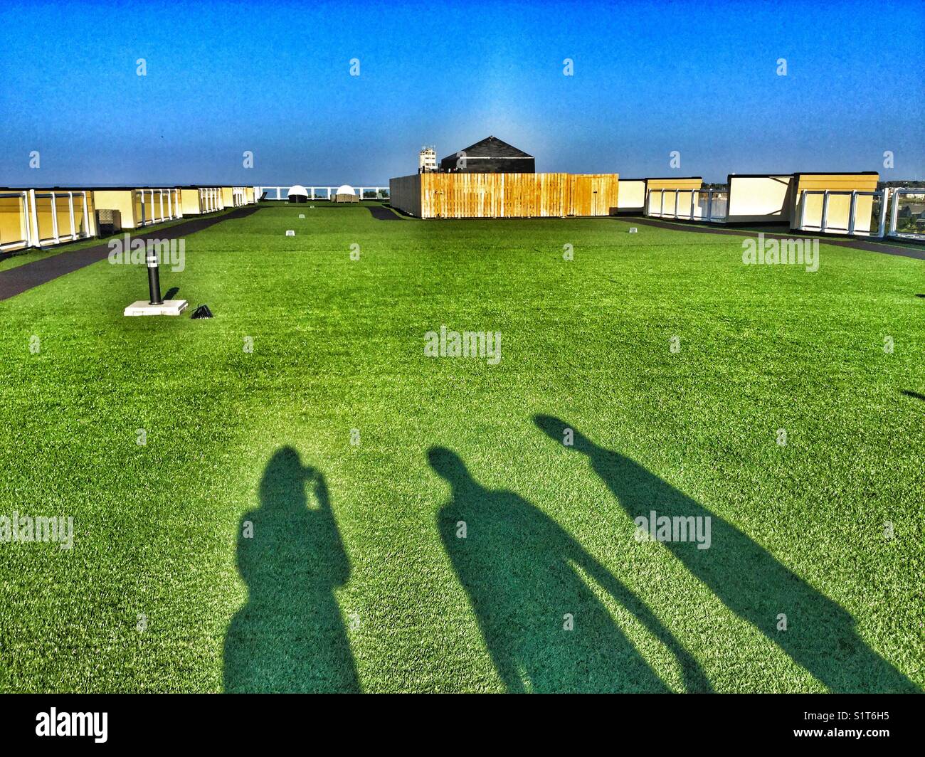 Rooftop grass hi-res stock photography and images - Alamy