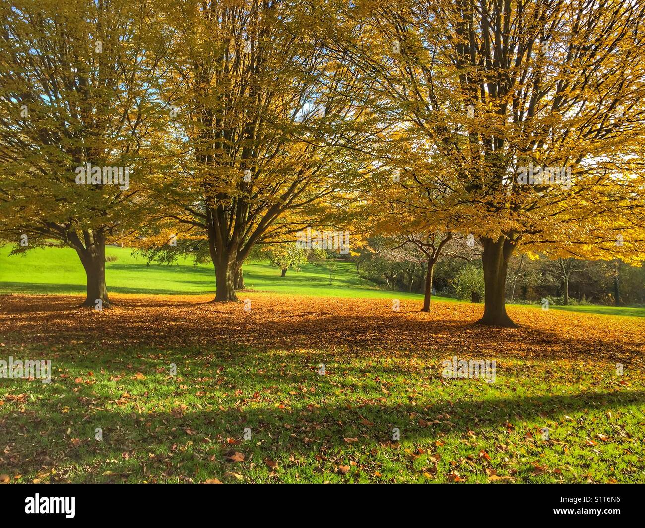 Waterlow Park in Highgate in London, England. Photo taken November 19 ...