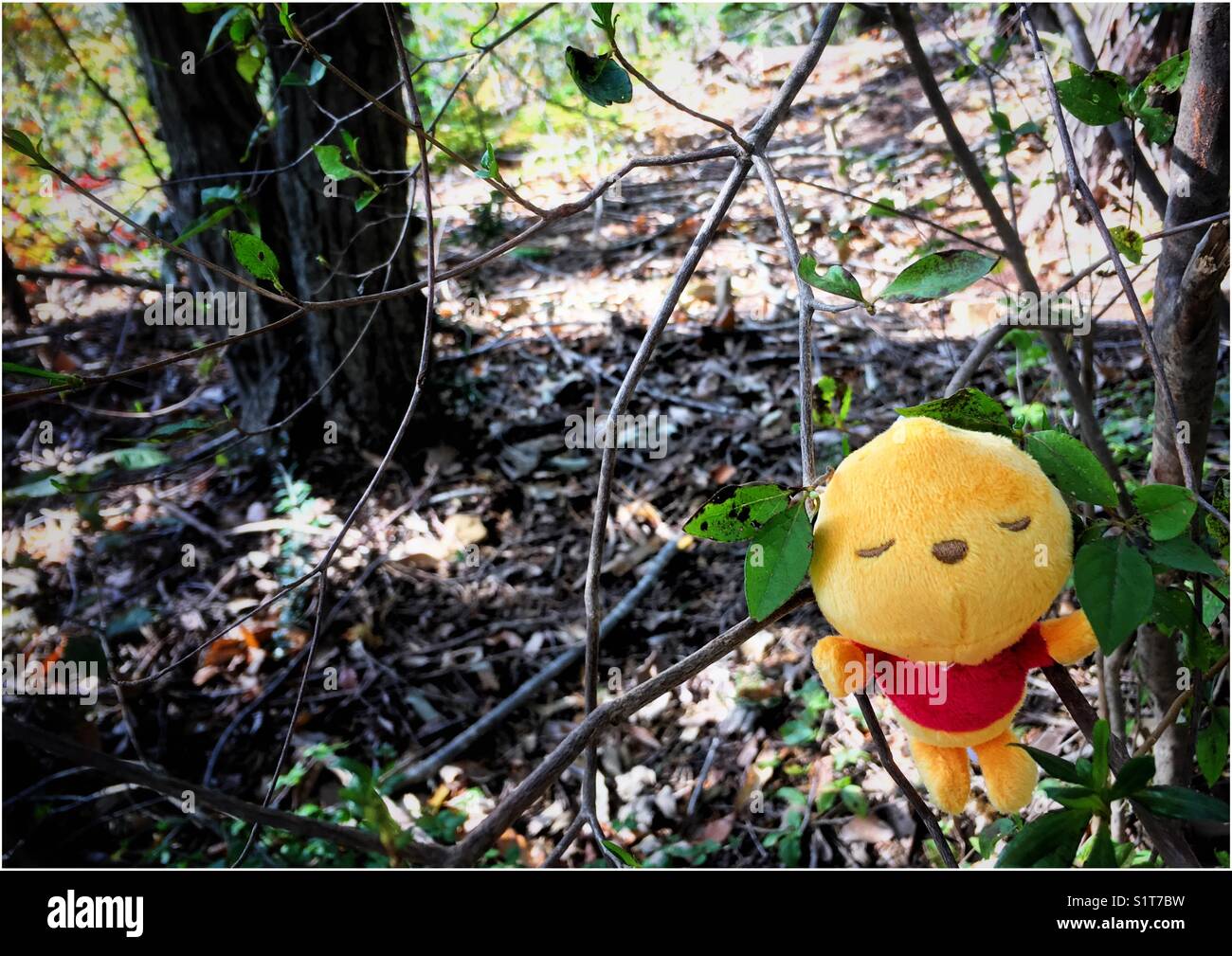 Winnie the poo hi-res stock photography and images - Alamy