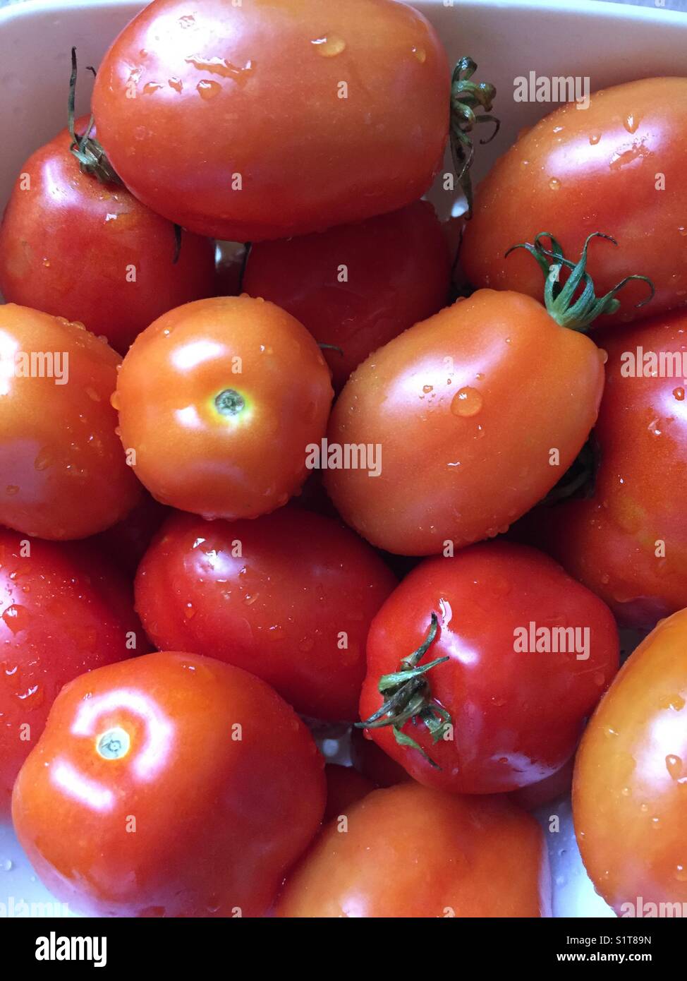 Wet roma hi-res stock photography and images - Alamy