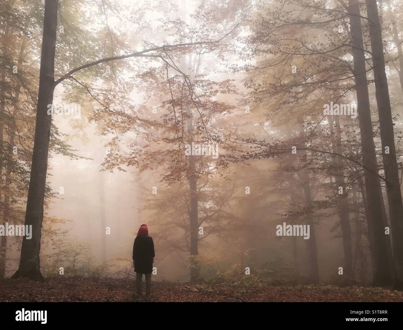 Raash hi-res stock photography and images - Alamy