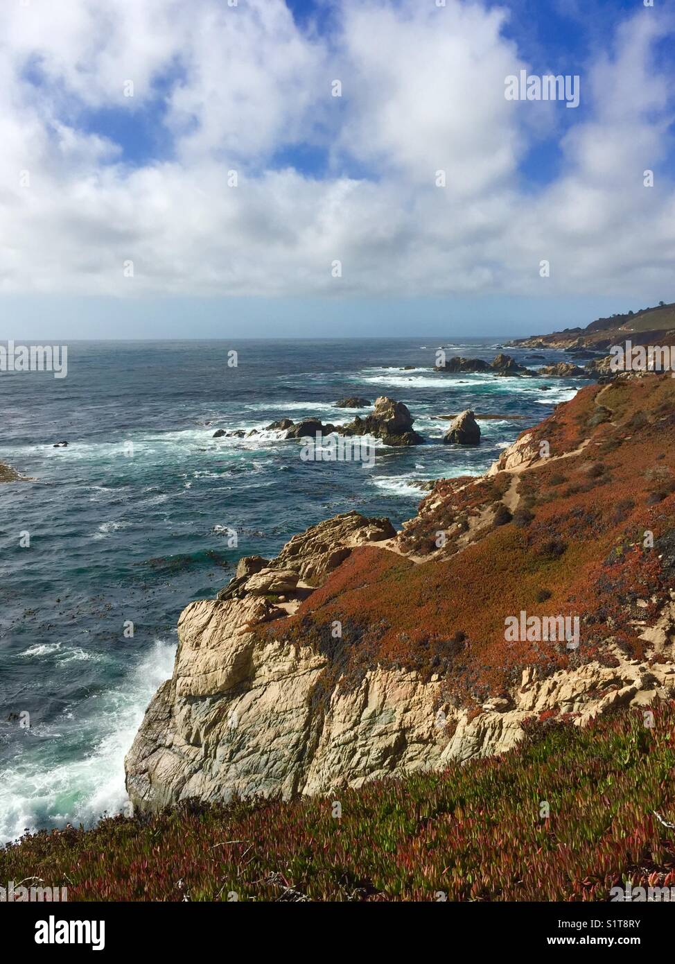 Rugged robin hi-res stock photography and images - Alamy
