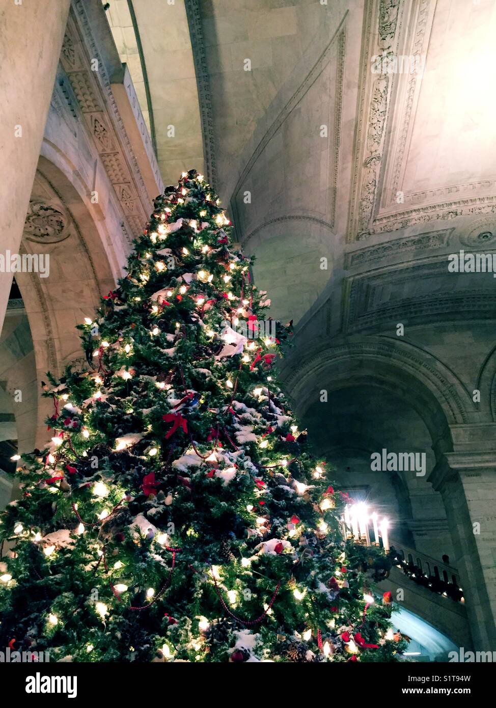 New york astor library hi-res stock photography and images - Alamy