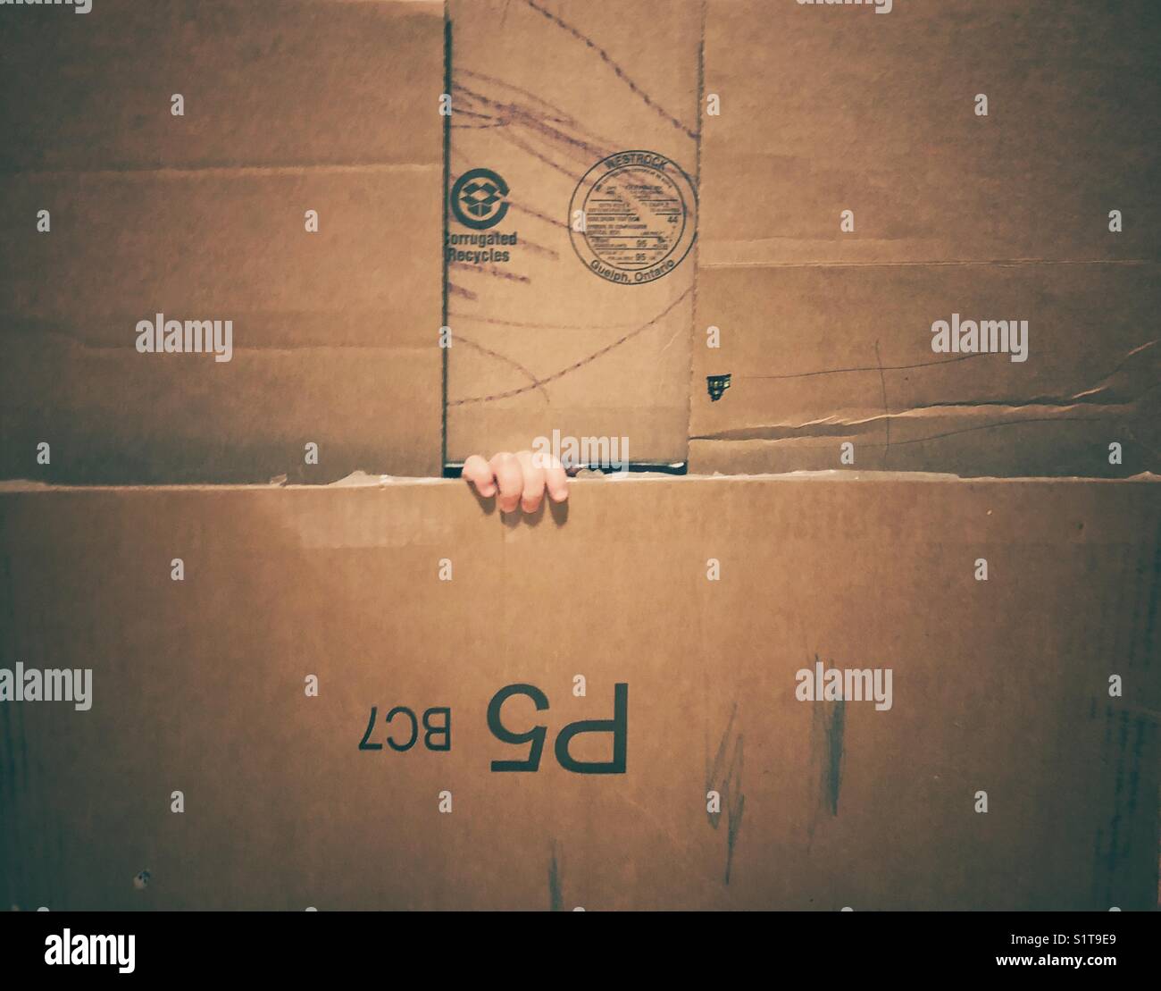 Hand sticking out of a cardboard box hi-res stock photography and ...