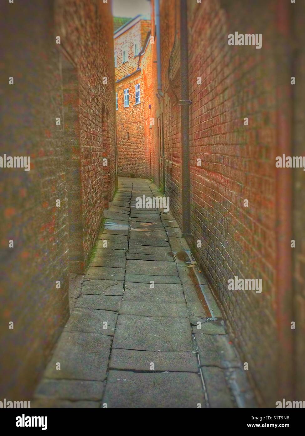 Alley in the city centre York North Yorkshire England UK Stock Photo ...